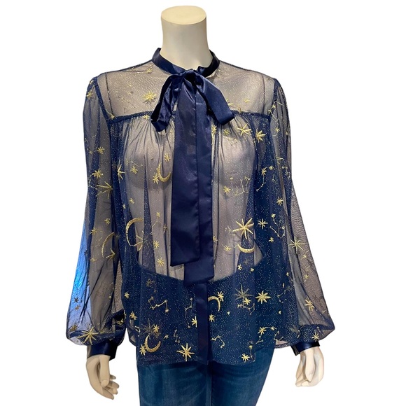 Endless Rose | Tops | New Embroidered Constellation Sheer Chiffon And ...